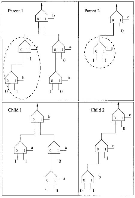 The Crossover Operator Over Trees Encoding Circuits Download Scientific Diagram