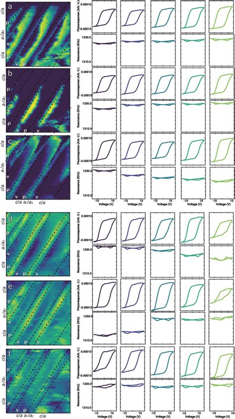 Extracted Embeddings And Generated Spectra Obtained From Ac