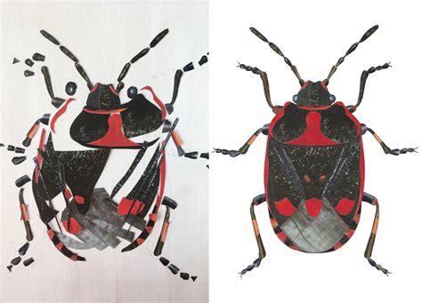 Collage Workshops Buzz And Scuttle