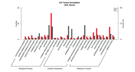 Go Function Classification Of The Deps Download Scientific Diagram