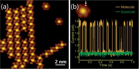A Coexistence Of Single Molecular Rotors And A Self Assembled Domain Download Scientific