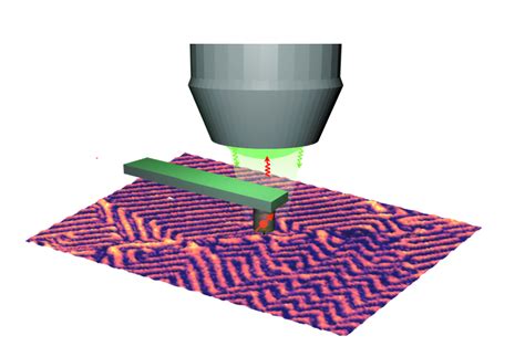 Tsar Quantitative Imaging Of Exotic Antiferromagnetic Spin Cycloids