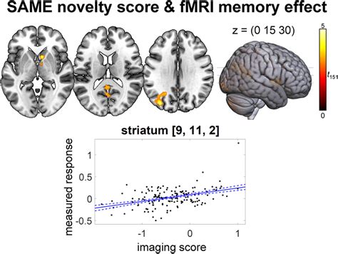 Regression Analysis Of SAME Novelty Score And FMRI Memory Effect Download Scientific Diagram