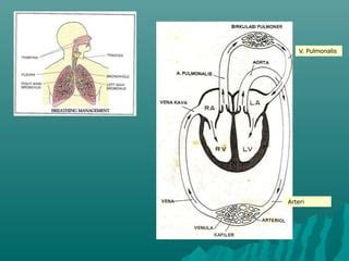 Materiairwayandbreathingmanagementpptx