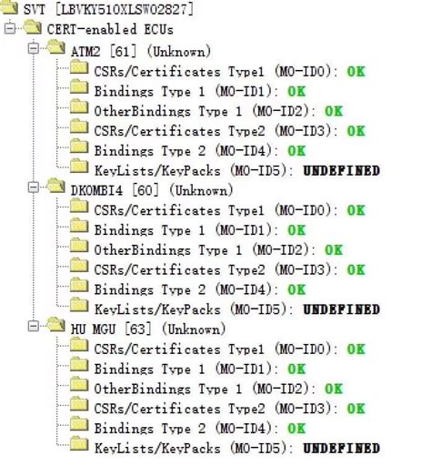 Bmw Ecu Validation Service Mgu Atm2 Dkombi4 Per Vin Autosvs Technology