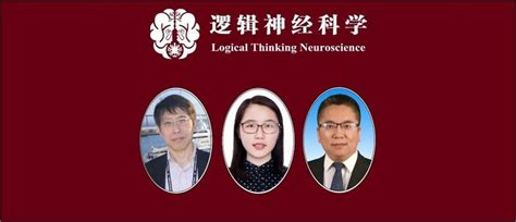 Mol Psychiatry︱郑州大学第一附属医院杨建军团队：围术期静脉注射氯胺酮改善术后抑郁的有效性和安全性：一项基于随机对照试验的meta