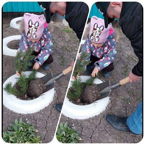 эковесна Мы с папой посадим дерево большое такое ветвистое Пусть тянется наше дерево В небо