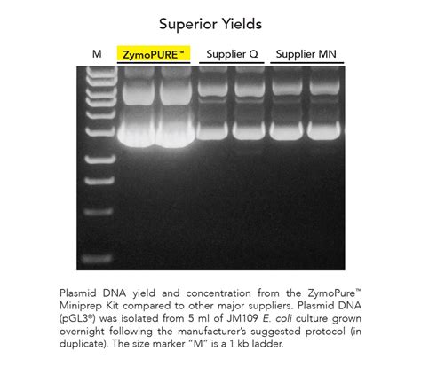 Zymopure Plasmid Miniprep Kit Get A Free Sample Today