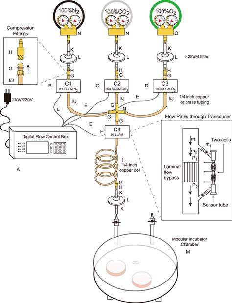 Diagram Of Digital Flow Control Box With Flow Controllers A Diagram Download Scientific