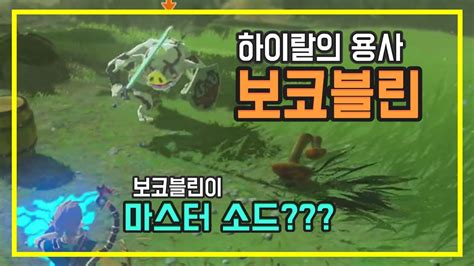 마스터소드에 선택받은 용사 보코블린 [젤다의 전설 야생의 숨결] Youtube