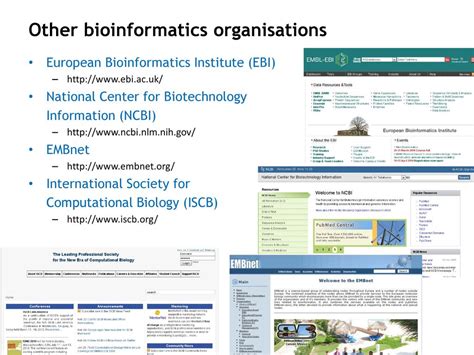 Introduction To Bioinformatics Ppt Download