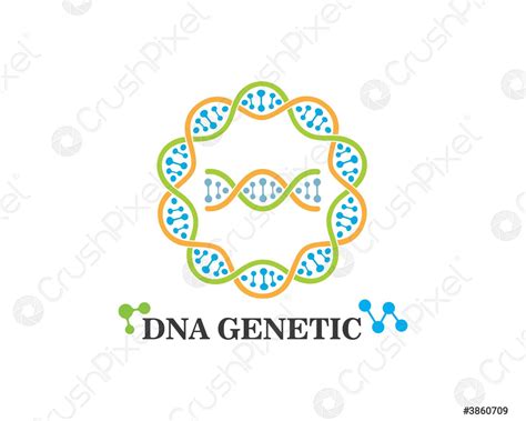 Dna Genetic Logo Icon Illustration Stock Vector 3860709 Crushpixel