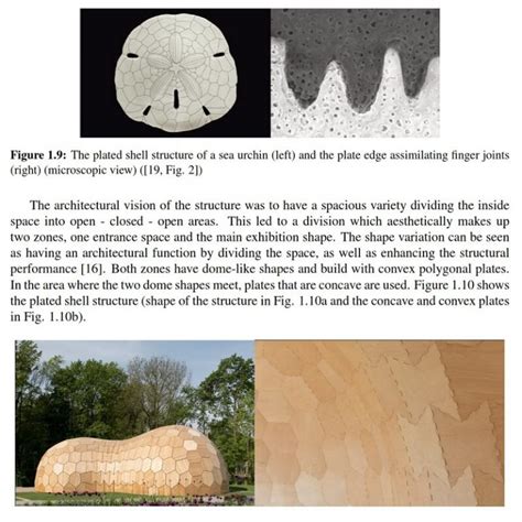 Parametric Structural Design Parametric House