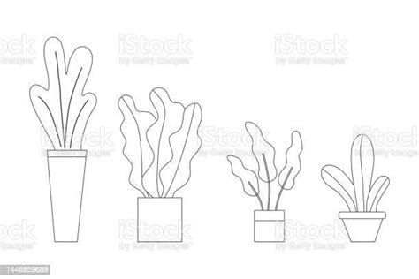 화분에 심은 식물 컬렉션은 검은 색 얇은 선 세트 컬렉션 그림으로 큰 순서에서 작은 순서로 정렬됩니다 0명에 대한 스톡 벡터 아트 및 기타 이미지 Istock