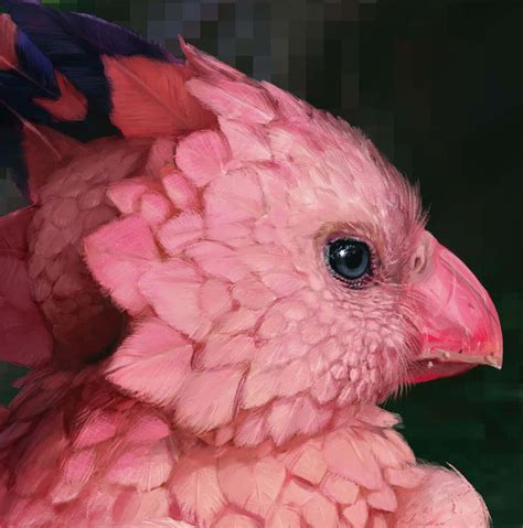 Digimon Biyomon Wallpapers Wallpapers Com