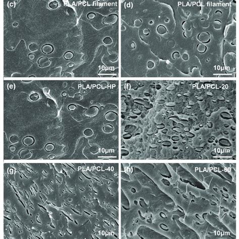 SEM Images Of A NEAT PLA B NEAT PCL C PLA PCL Filament Along Download Scientific