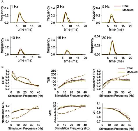 A Representative Normalized Peristimuli Histograms At Different Download Scientific Diagram