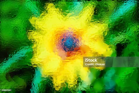 흐릿한 자연 배경 젖은 유리를 통해 꽃의 추상적 인 이미지 물방울 0명에 대한 스톡 사진 및 기타 이미지 0명 기포 깨끗한 Istock