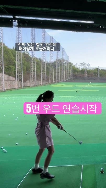 우드가 망하면 더블파인생이다 연습하자 골프연습 골프스윙 우드샷 5번우드 골린이성장일기 백돌이 Golf Golfswing Youtube