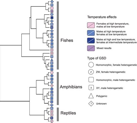 Figure 4 From Sex Ratios In A Warming World Thermal Effects On Sex