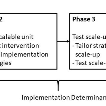 FIGURE Framework For Scaling Up Interventions Adapted From Barker Et Download Scientific