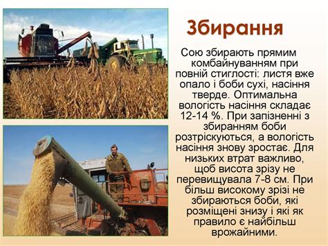 Технологія вирощування сої презентация онлайн