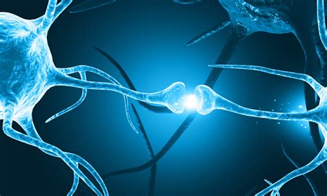 Pitt Scientists Solve Structure Of Epilepsy Drug Target In The Brain Upmc And Pitt Health