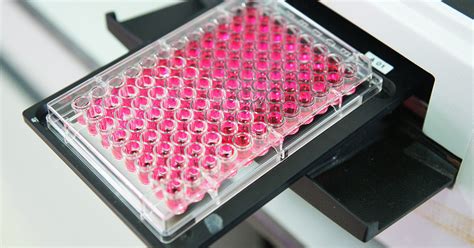mat batch release testing mat biotech