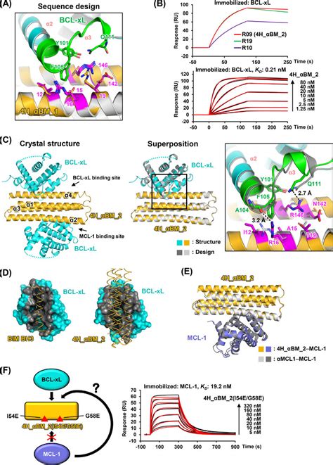 Local Sequence Design And Experimental Validation A Computational