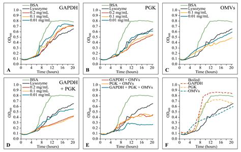 Predatory Strategies Of Myxococcus Xanthus Prey Susceptibility To Omvs And Moonlighting Enzymes