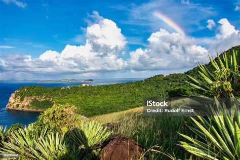 채텀 베이 온 유니언 아일랜드 세인트 빈센트 그레나딘 레서 앤틸레스 그레나딘즈에 대한 스톡 사진 및 기타 이미지 그레나딘즈 0명 경관 Istock