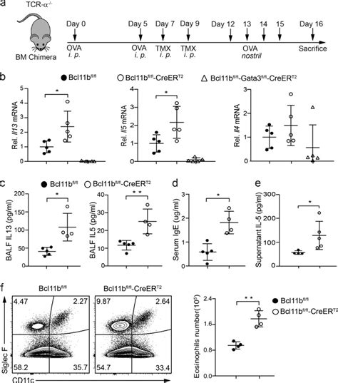 Bcl11b A Novel Gata3 Interacting Protein Suppresses Th1 While