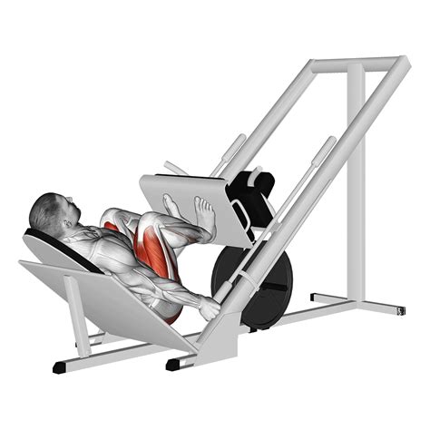 Quad Extensions  At Nathan Dillon Blog