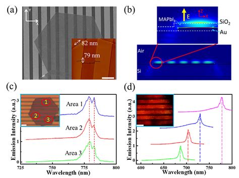哈尔滨工业大学肖淑敏课题组：基底调控的混合模式表面等离子体激光 X Mol资讯