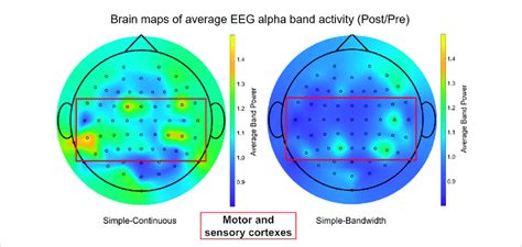 Brain Map Of EEG Activity Averaged For All Participants Download Scientific Diagram