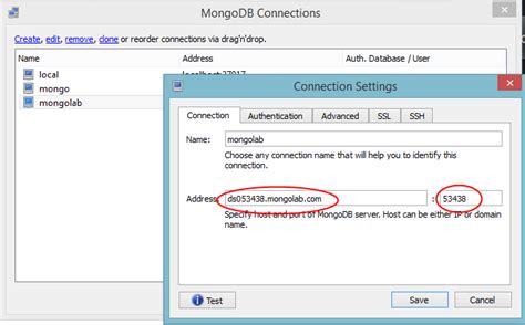 javascript failed to connect to mongoose lab stack overflow