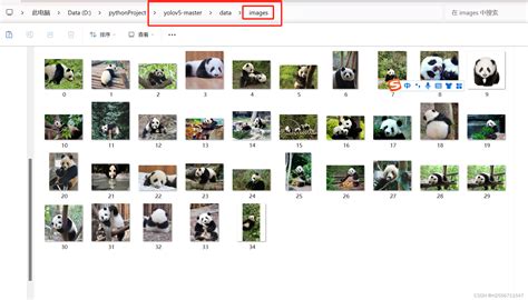 使用yolov5训练模型yolov5npt下载 Csdn博客