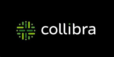Collibra Unveils Automated Lifecycle Data Mapping With Collibra Lineage