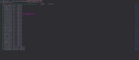 How To Run Nginx Proxy Manager In Docker Container Computingforgeeks