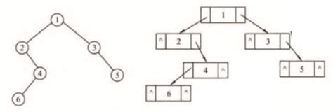 二叉树的存储结构 二叉链的存储结构 csdn博客