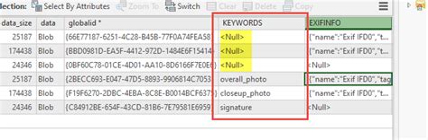 Solved Survey123 Picture Attachments To Survey Questions Esri Community