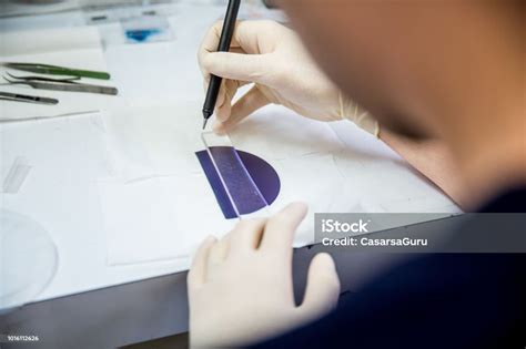 연구원 준비 실리콘 흑연 입자에 대 한 기초 및 연구에 대 한 샘플을 만들 Stem 주제에 대한 스톡 사진 및 기타 이미지 Stem 주제 과학 과학 실험 시료