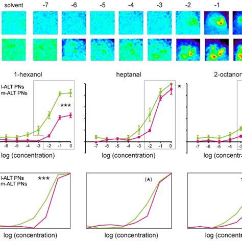 Odor Quantity Coding Response Intensity As A Function Of Concentration
