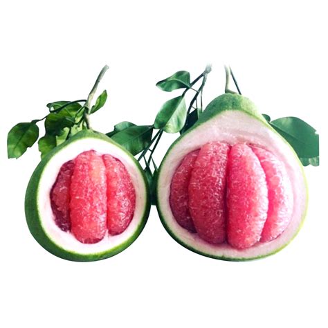 Nisakorn Siam Ruby Pomelo 1pc Villa Market
