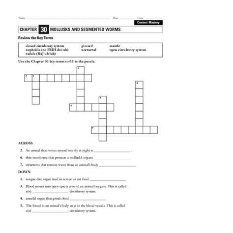 Mollusks And Segmented Worms Worksheet For 9th 12th Grade Lesson Planet