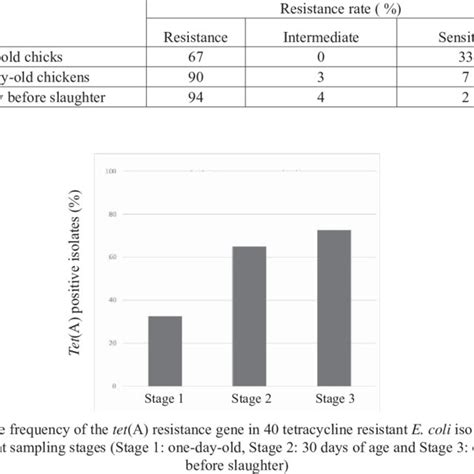 Antimicrobial Resistance Rate Against Tetracycline In 300 E Coli Download Table
