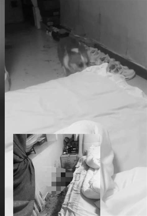 “男子砍死柯基威胁妻子”当事人独家回应：结婚三个月被家暴两次，将起诉离婚