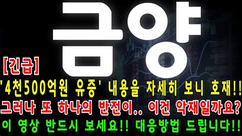 금양 긴급 4천500억원 유증 내용을 자세히 보니 호재 그러나 또 하나의 반전이 이건 악재일까요 이 영상