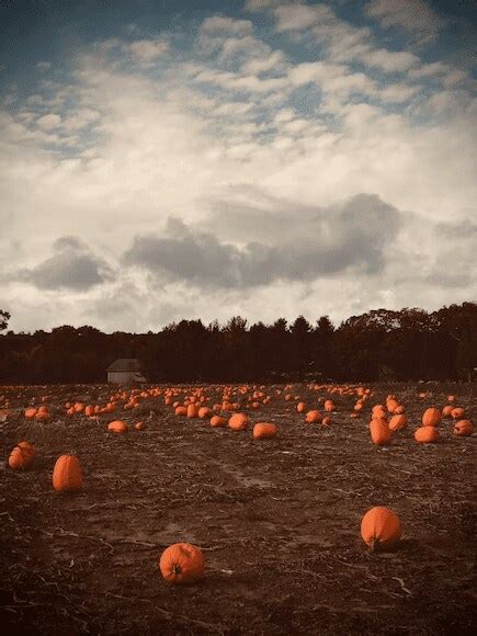 30 Griezelig Leuke Halloween Activiteiten Flexispot Flexispot