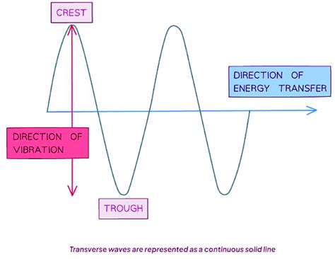 Transverse And Longitudinal Waves Physics For Gcse Igcse Year 11 Pdf Download